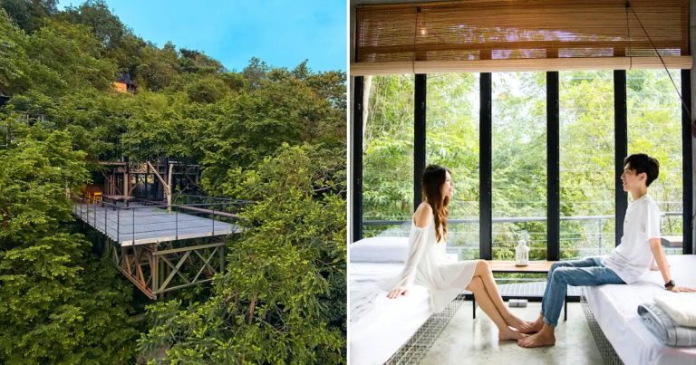 fb img treehouse malaysia - TripZilla