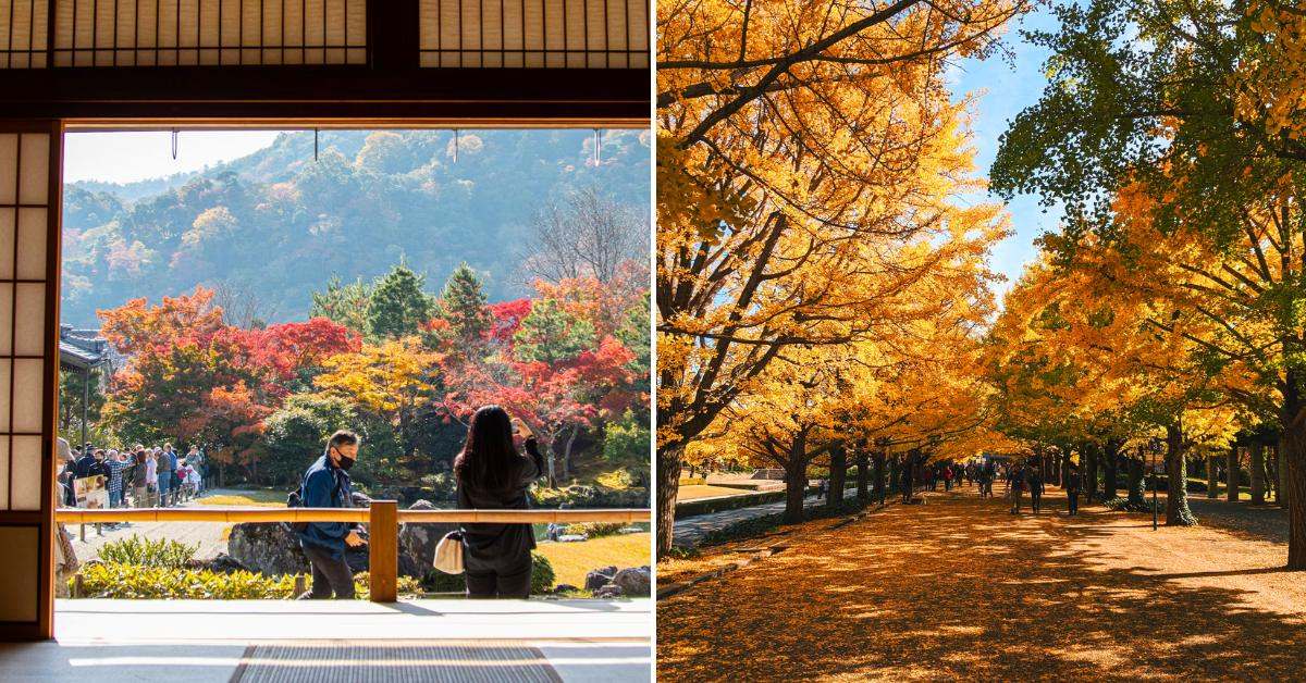 Japan Autumn Leaves Forecast 2023 When Where To See Fall Foliage