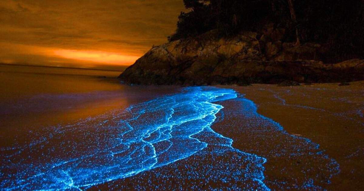 hidden-gems-malaysia - TripZilla hidden-gems-malaysia - TripZilla