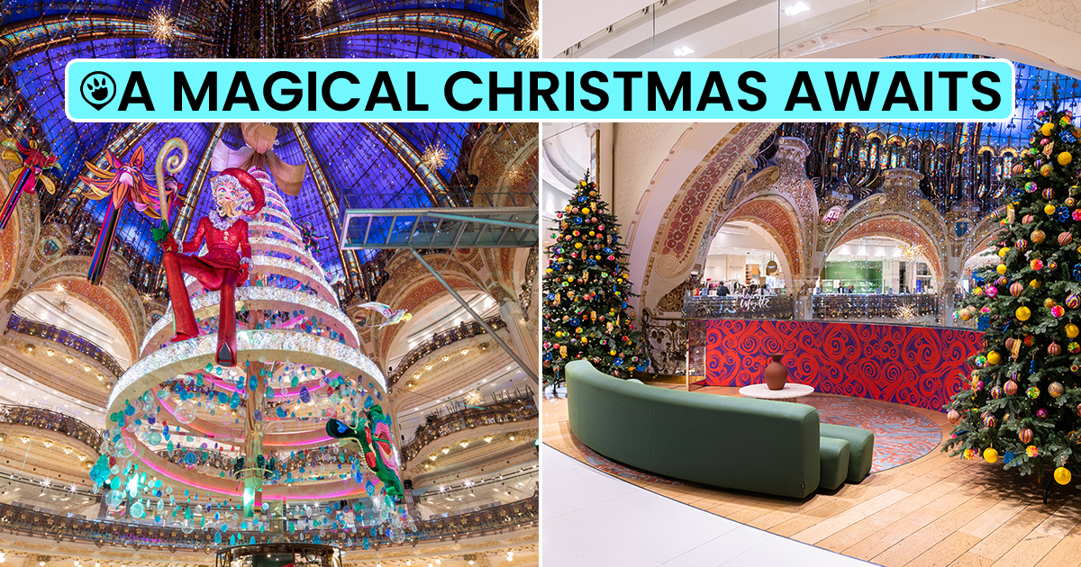 GL FB PIC - TripZilla