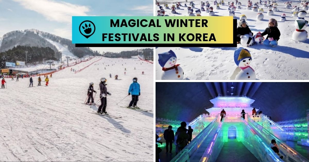 fb-featured-korea-winter-festivals - TripZilla
