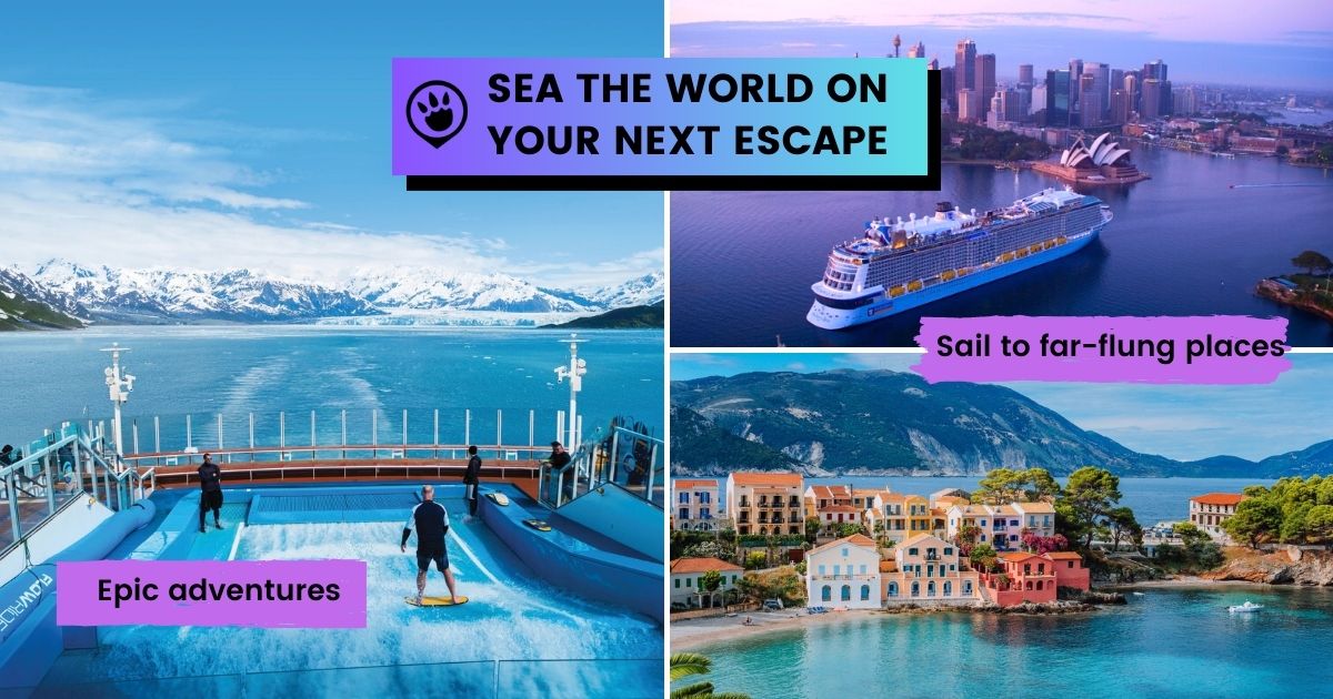 7 Reasons That Will Make You Wanna Go on Fly Cruises This Instant