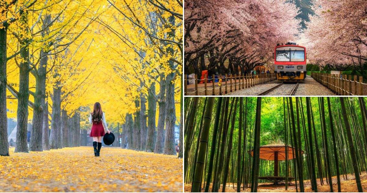 11 Small Towns & Villages in South Korea for a Dreamy Rural Getaway