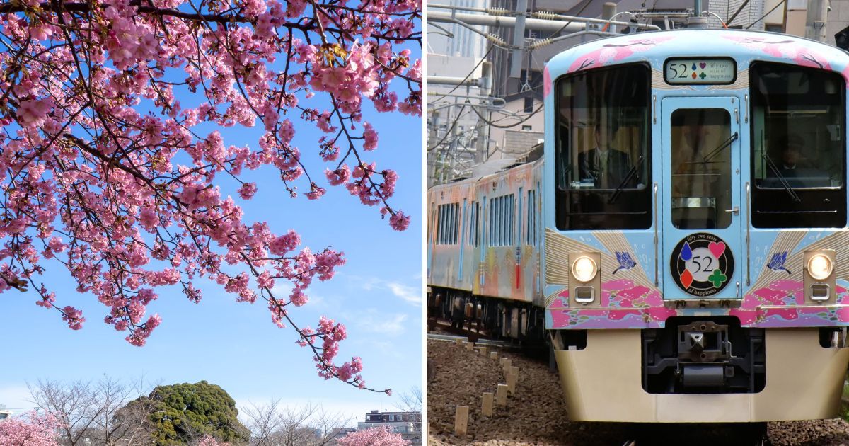 Take a Scenic Train Tour Through Cherry Blossom Spots in Japan