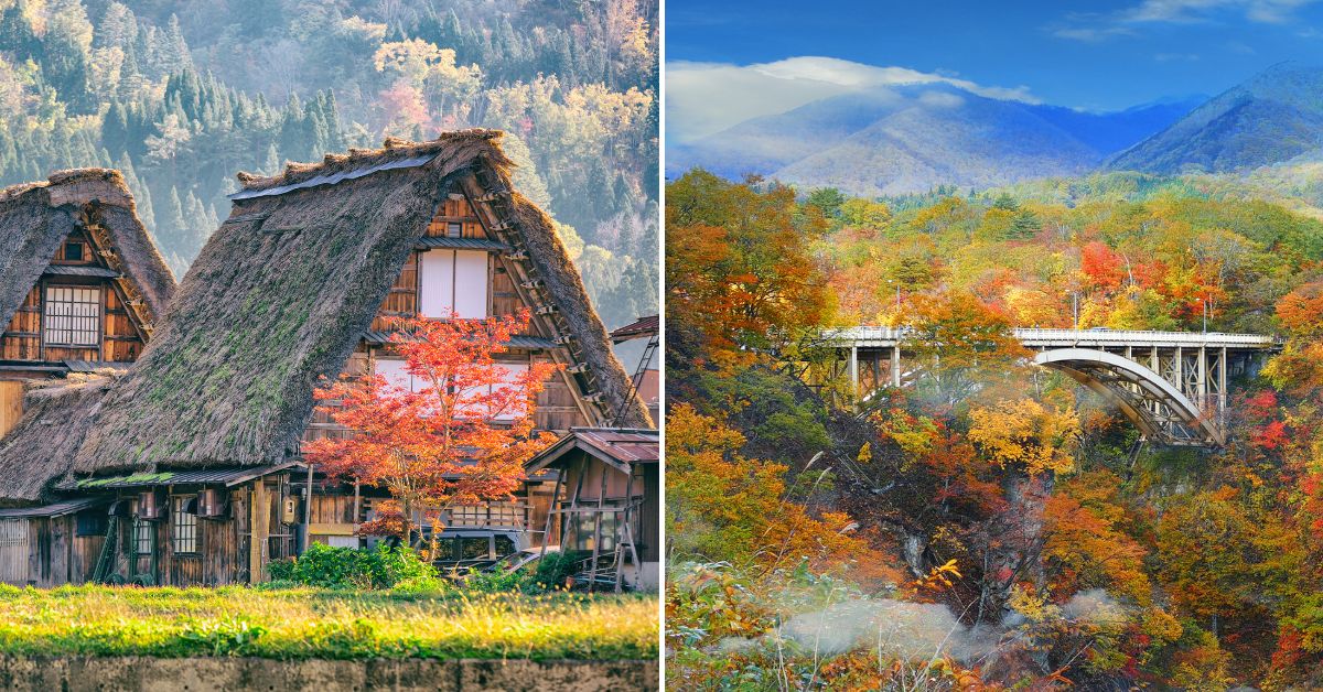 Japan Autumn 2024 Forecast: Best Places to See the Fall Foliage