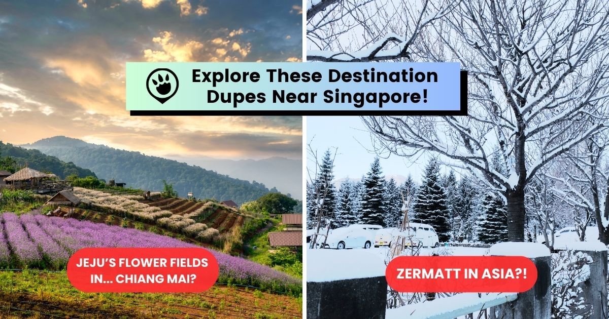 Travel Dupes Near Singapore: Budget-Friendly Alternatives To Touristy ...