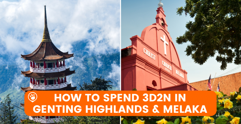 FB Featured Image (5) - TripZilla