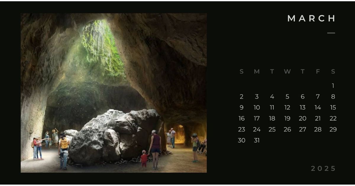 fb image wfa (1) - TripZilla