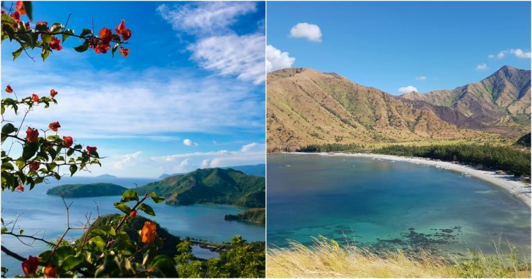 collage1 - TripZilla