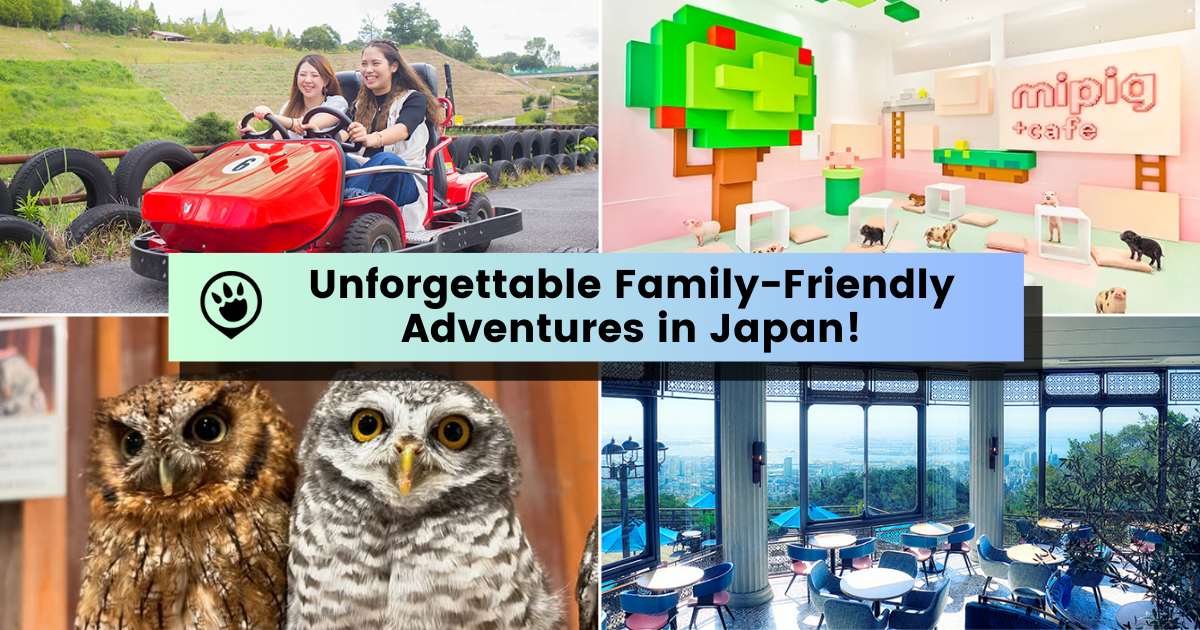 Featured Image (7) - TripZilla