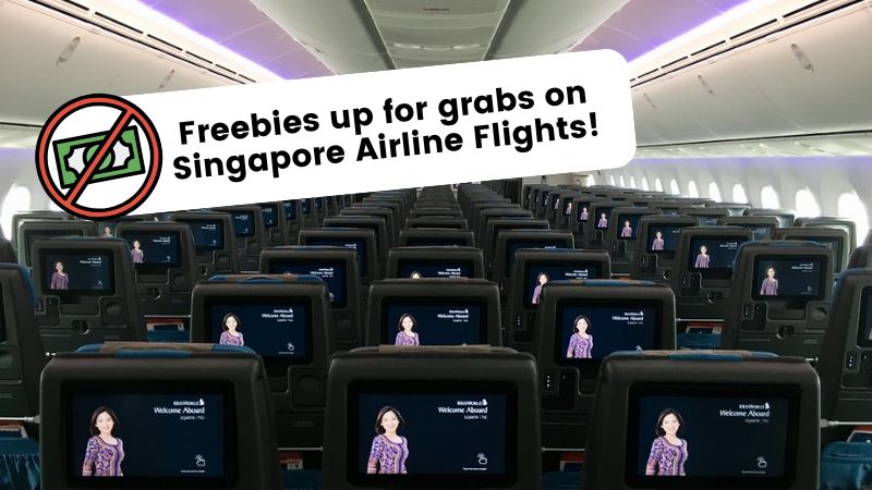 article images (10) - TripZilla