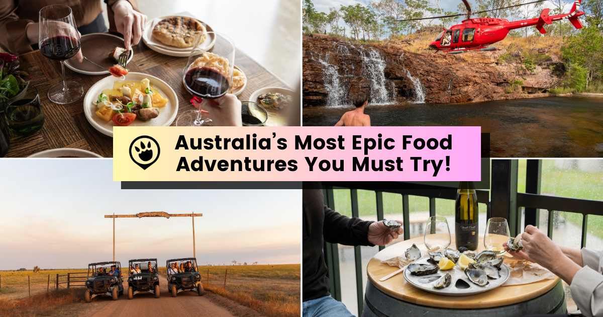Australia’s Unmissable Culinary Adventures: A Feast for the Senses
