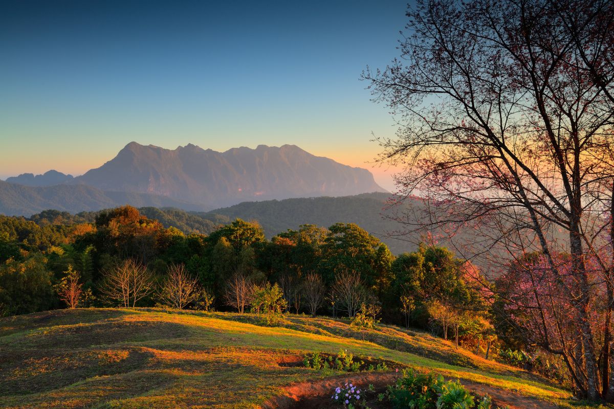 Wordpress (1) - TripZilla