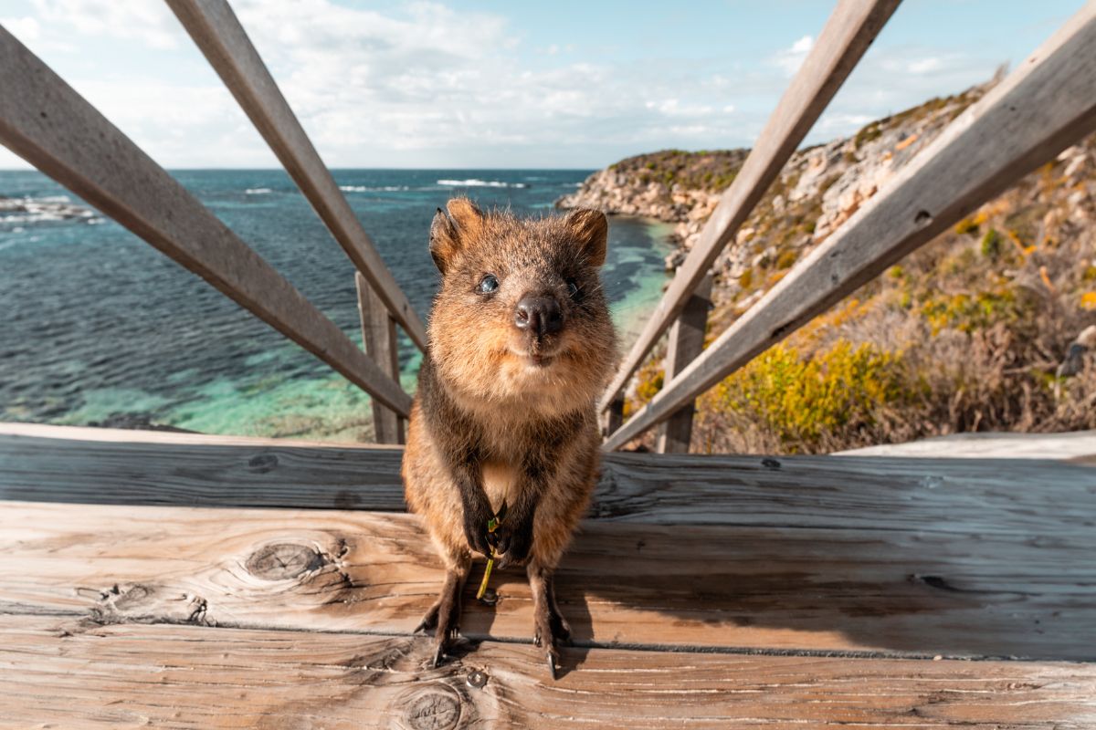 Immersive Tours That Let You Truly Experience Australia